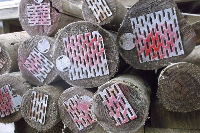 utility pole types uk